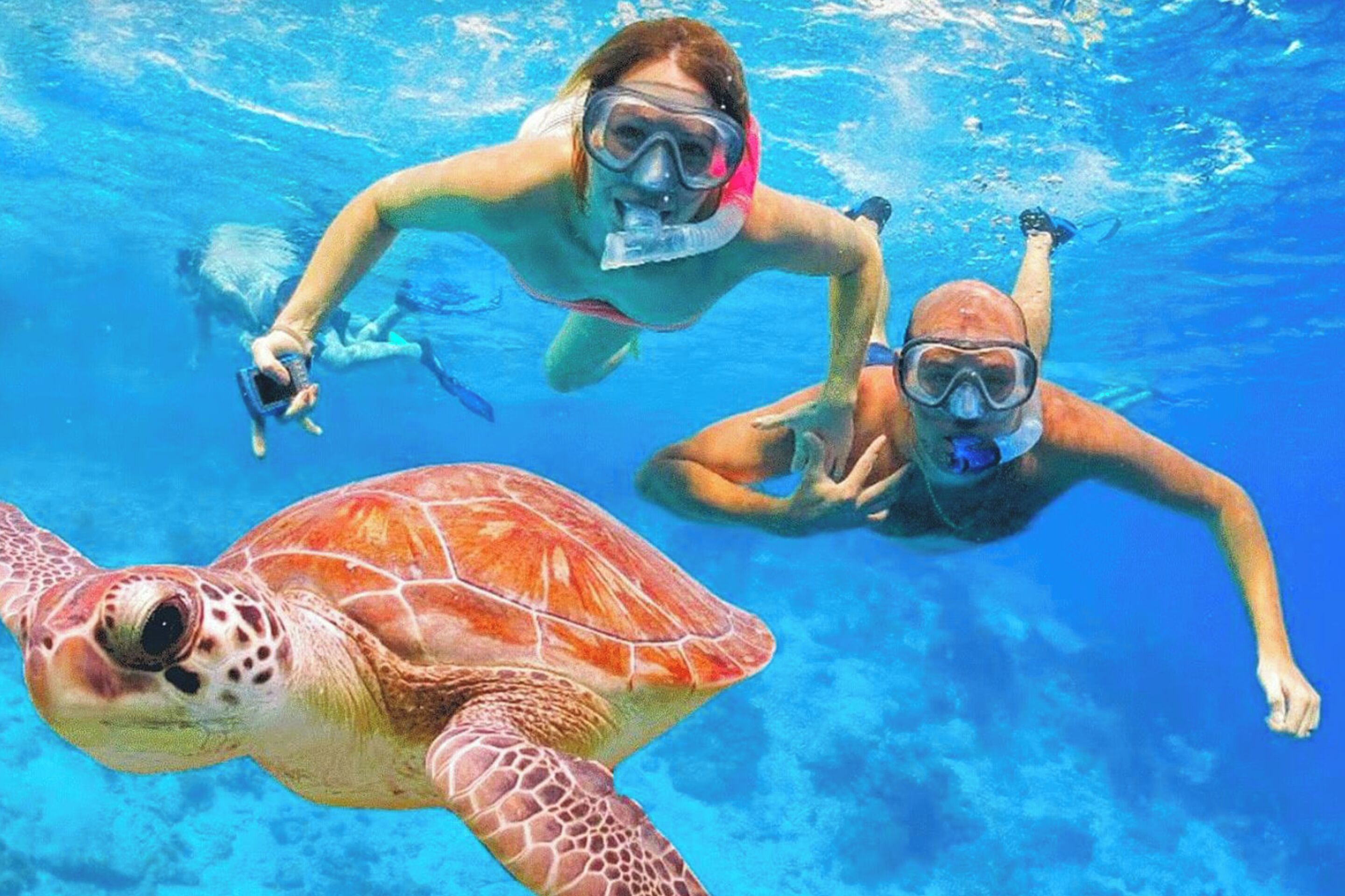 Duas pessoas fazem snorkel debaixo d'água com uma tartaruga marinha.