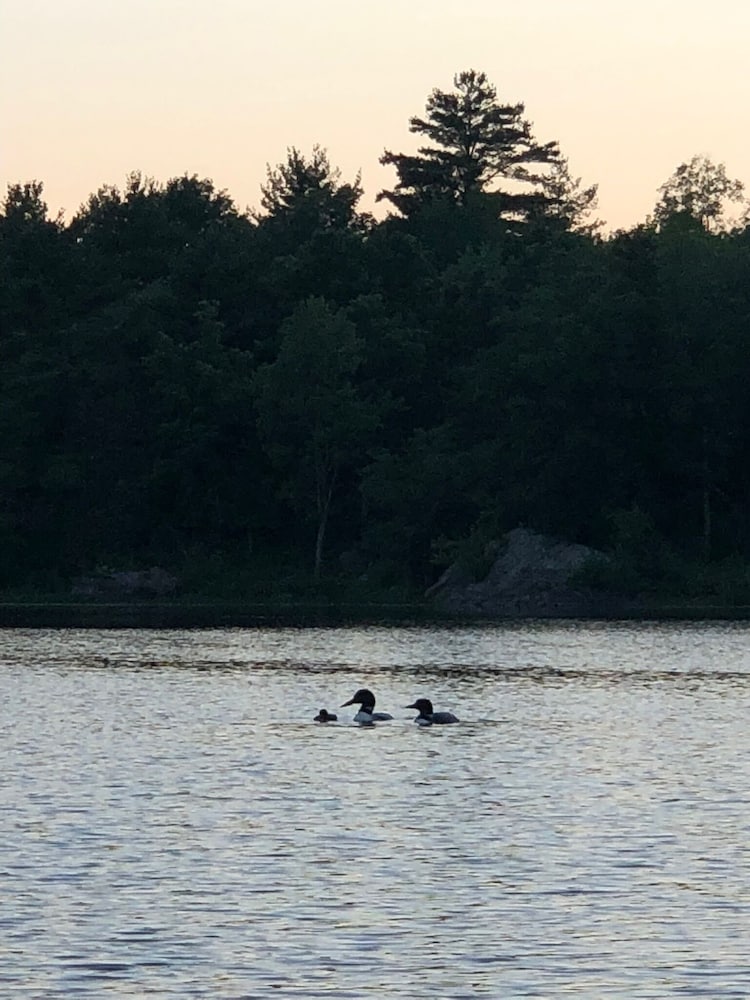 Lake front luxury log home in quiet area Reviews, Deals & Photos 2026 ...