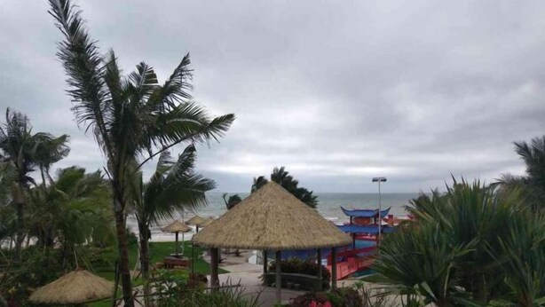 Um resort à beira-mar com estruturas de telhado de palha, palmeiras e vista para o oceano.