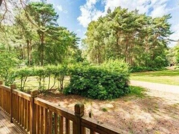 Guelder Rose Lodge - Kelling Heath Holiday Park - 22249 - Norfolk