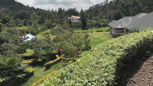 Paisagem rural com uma casa rodeada por vegetação exuberante e céu claro.