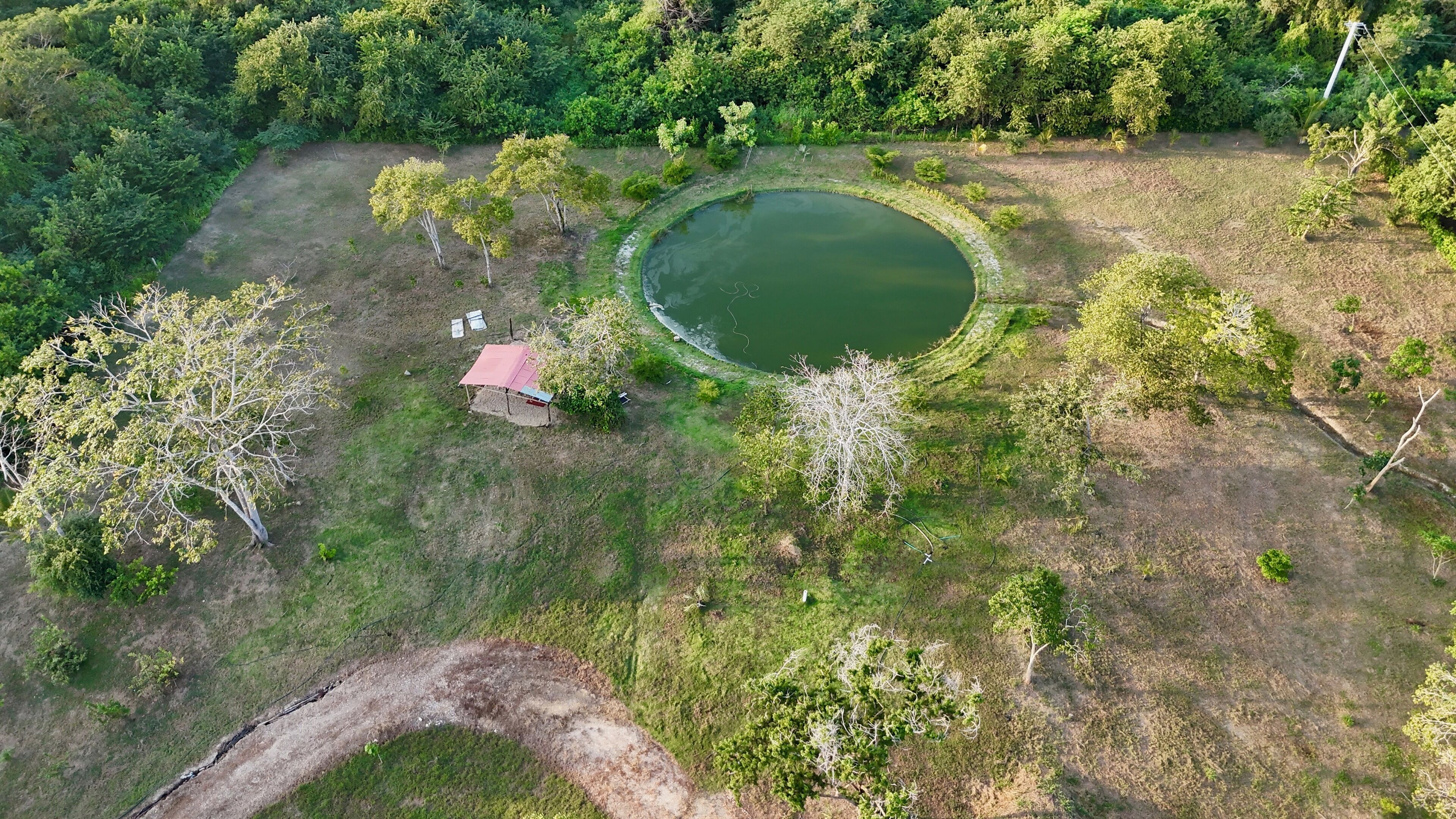 Vista aérea de uma área rural com um lago, uma construção pequena com telhado vermelho e árvores espalhadas.