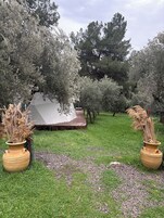 Área da propriedade