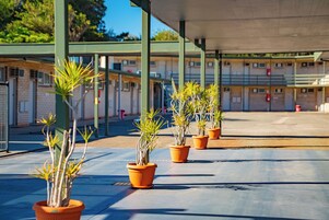 Uma área externa coberta com vasos de plantas dispostos em linha.
