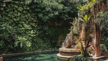 Piscina cercada por vegetação exuberante e um cercado de madeira.