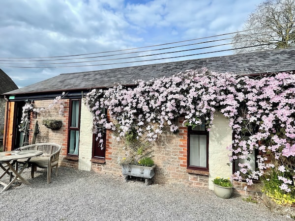 Honeypot Cottage - Dorset