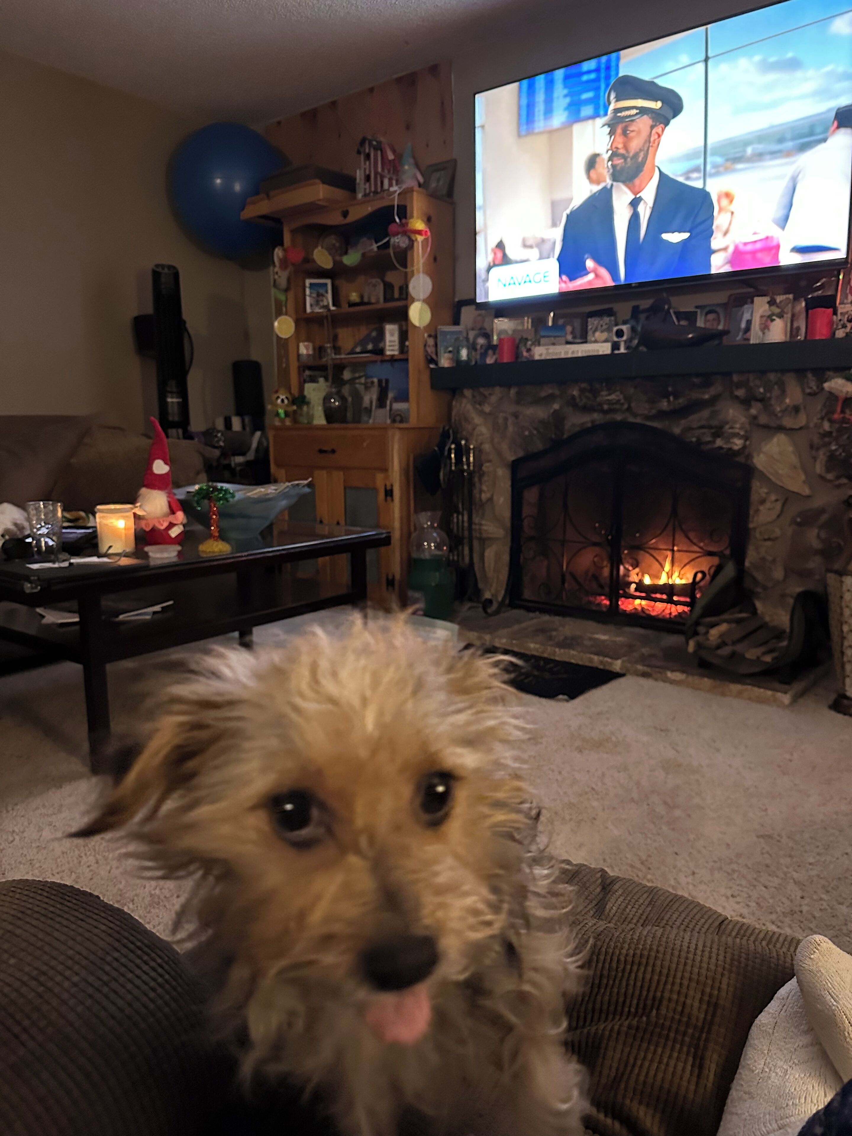 Peaceful 1-bedroom Bed & Breakfast In Charming San Jose - San Jose, CA