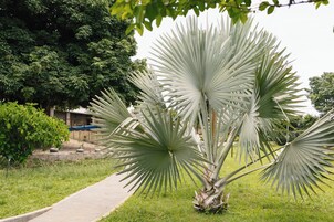 Terrenos do alojamento