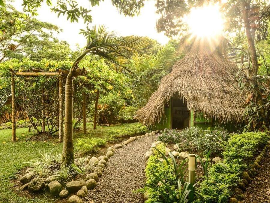 Área da propriedade