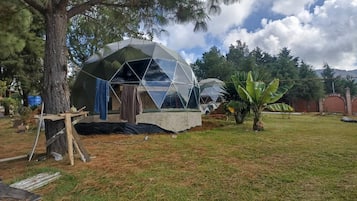 Bangalô clássico, vista para o jardim | Banheiro | Chuveiro, toalhas de banho, papel higiênico