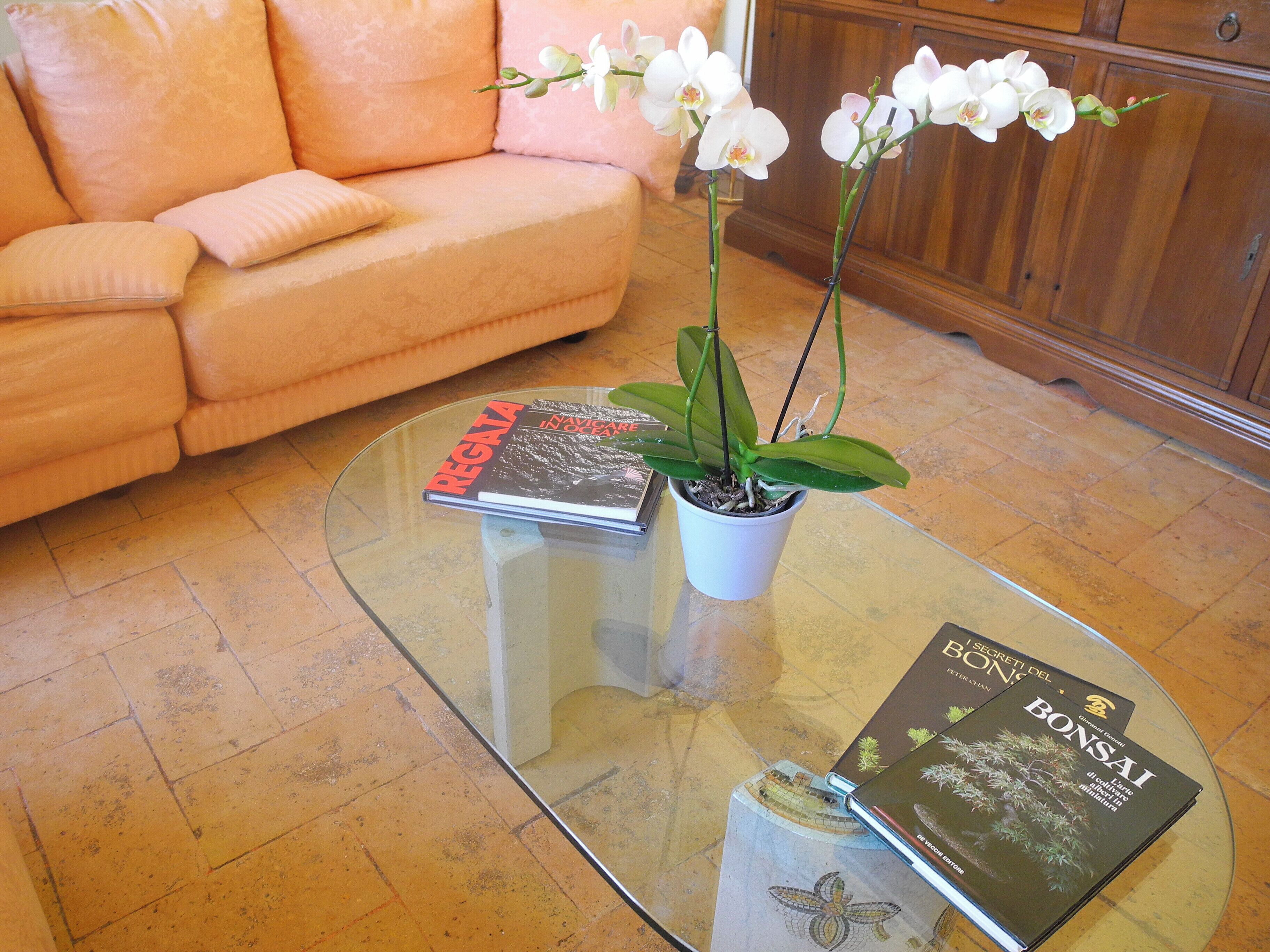 Noble Apartment - Spoleto