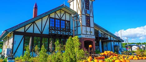 Vista para o campo desde o alojamento