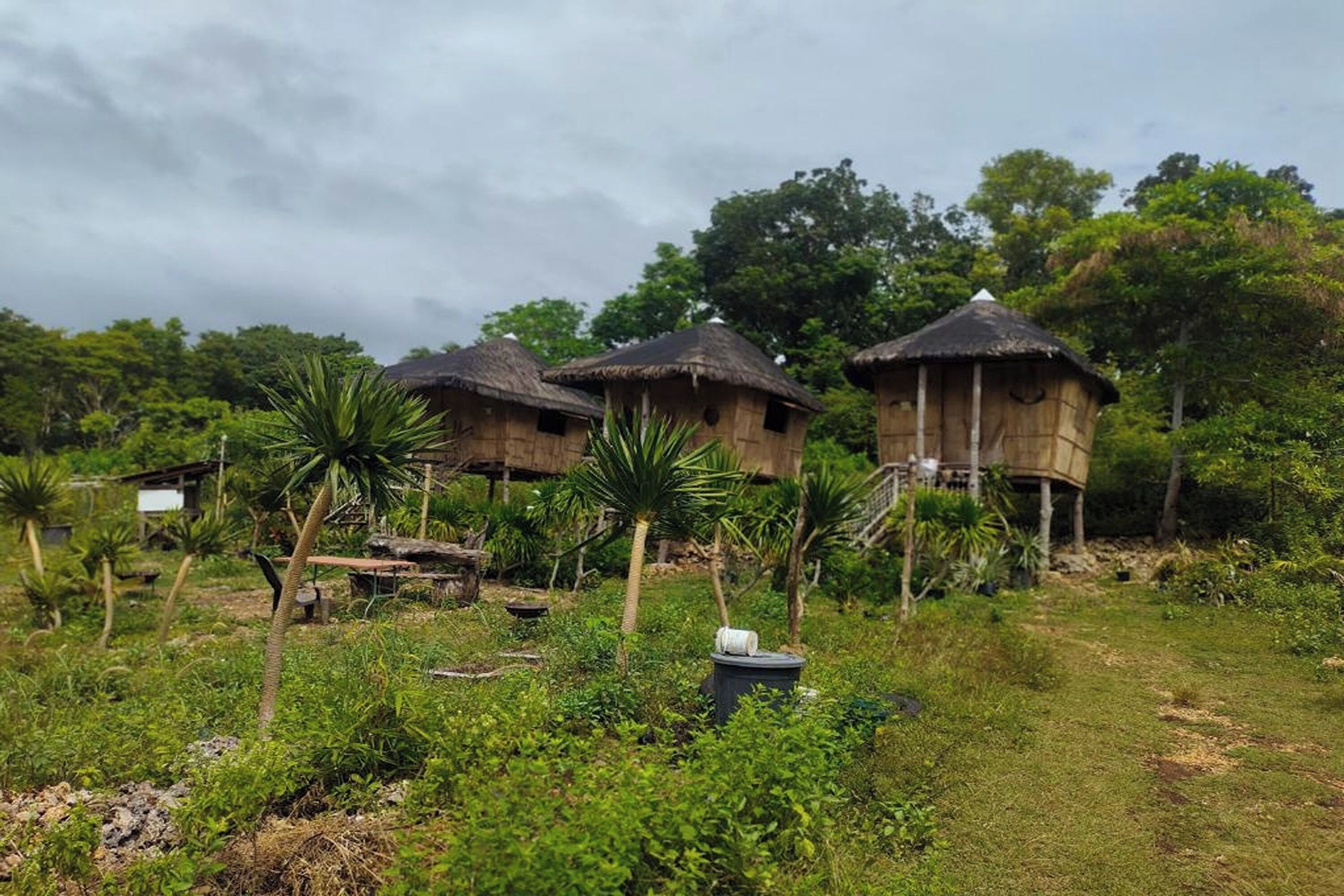 Um cenário rural com casas de telhado de palha, rodeadas por vegetação exuberante.