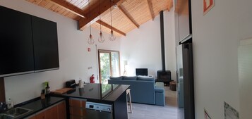 Apartamento, 1 cama queen-size e sofá-cama, cozinha, vista para o jardim | Interior