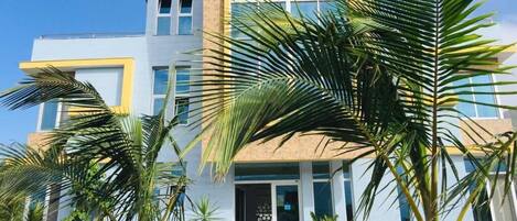 Um hotel moderno com estrutura em dois andares, grandes janelas e um jardim bem cuidado com palmeiras.