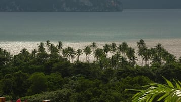 Vista do alojamento