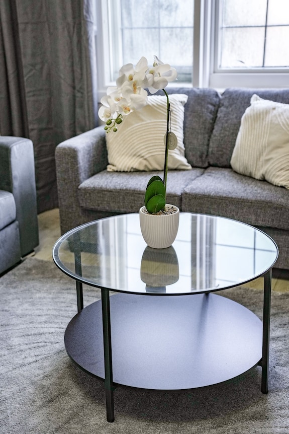 Snug Modern Apartment - Livingston