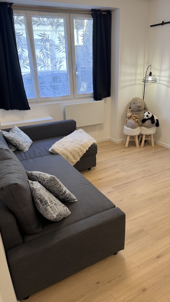 Confort Au Mont-dore Linge Inclus &\Nanimaux Admis - Mont-Dore