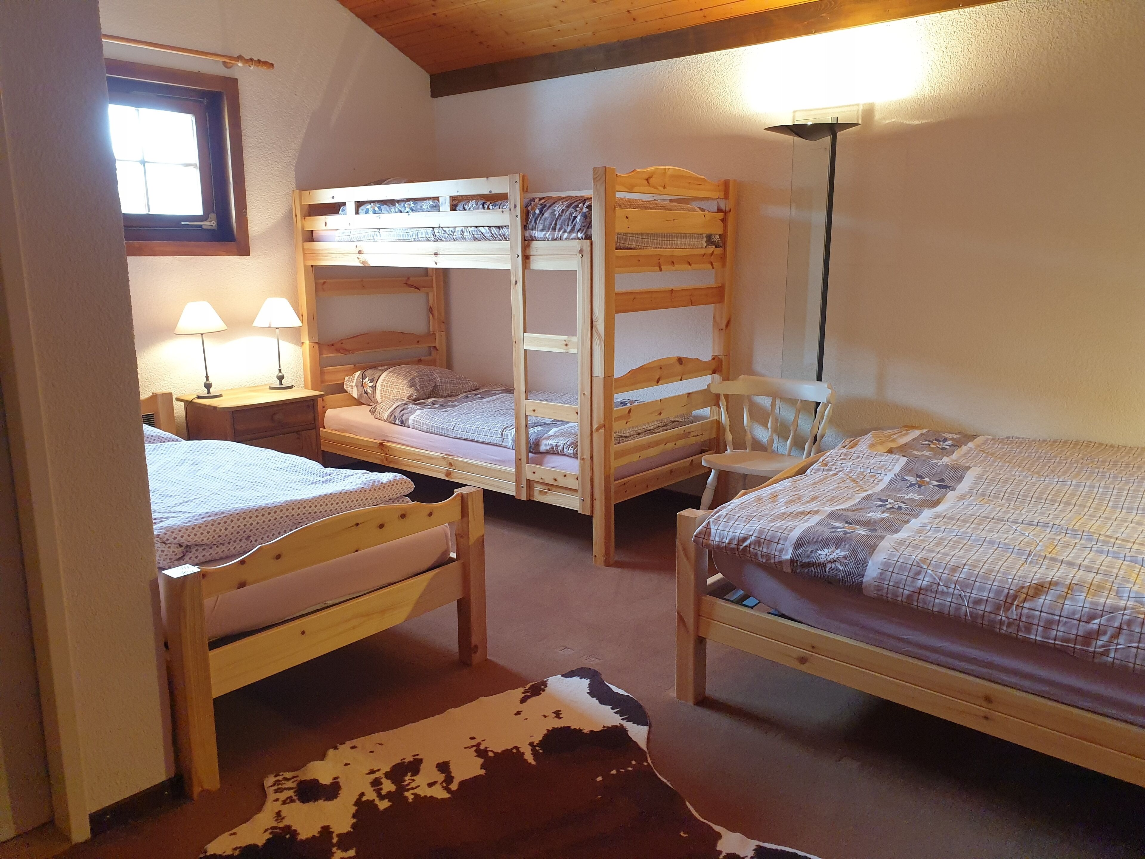 Emplacement Exceptionnel : Ski Aux Pieds Et Magnifiques Randonnées - Canton de Vaud