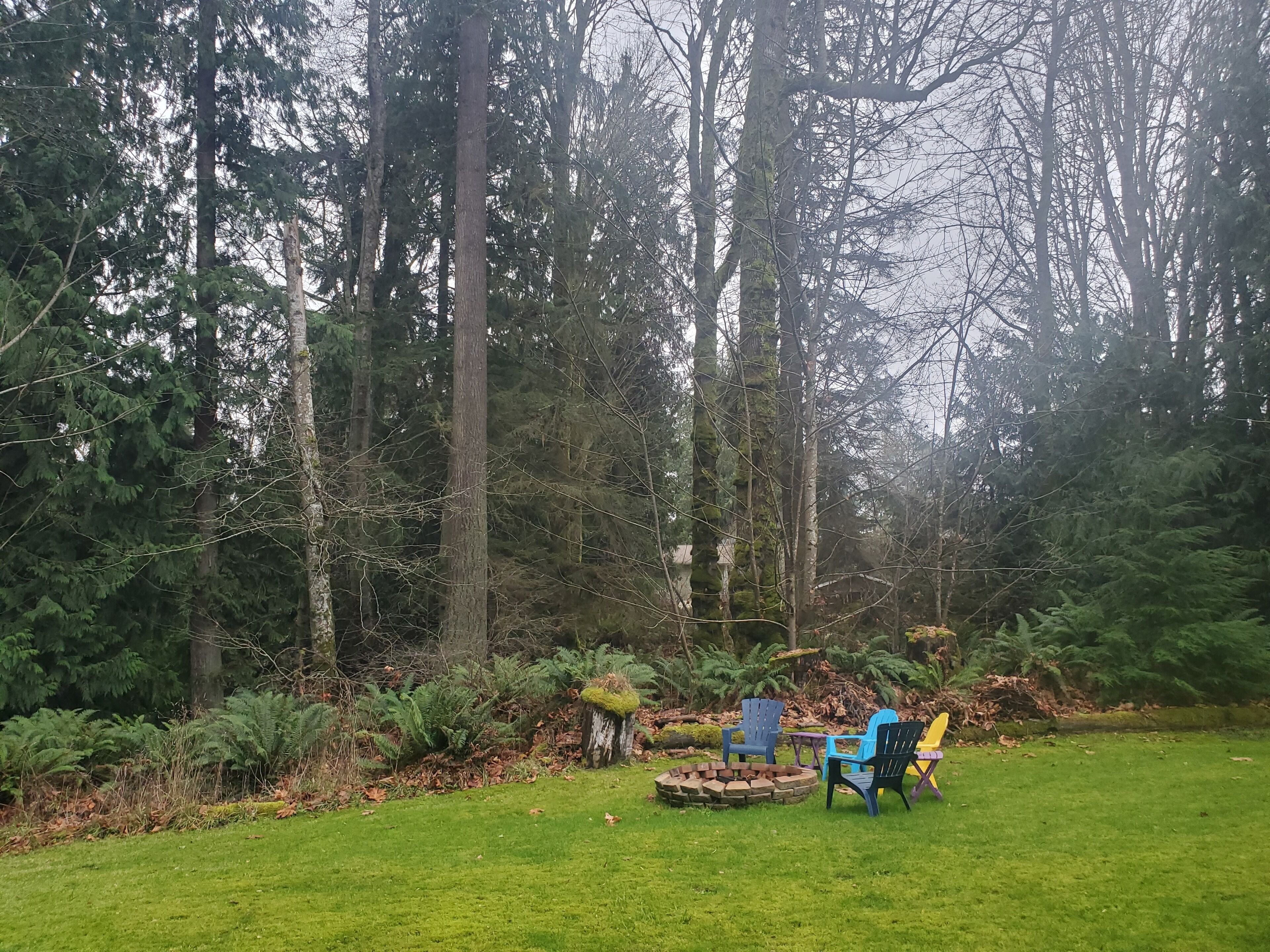 Wondering Camping Retreat 1 Mile From The Olympic National Park. Beautiful Place - Port Angeles, Washington