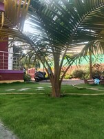 Área da propriedade