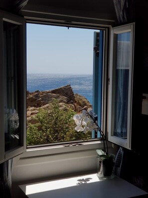 Apartamento | 1 quarto 