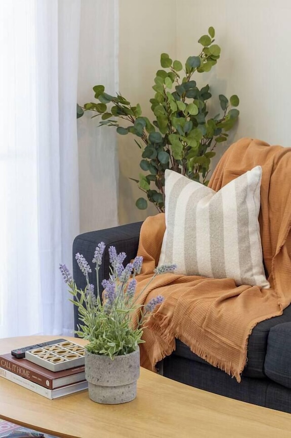 Classic And Comfy Townhouse + Carpark On Colombo - Christchurch