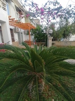 Apartamento Clássico, vista para o jardim | Terrenos do alojamento