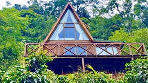 Uma cabana de madeira com telhado triangular e grandes janelas, cercada por vegetação exuberante.