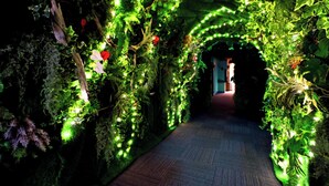 Um corredor com paredes cobertas de vegetação, iluminado por luzes de corda.