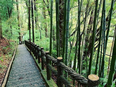 Iya Kanko Ryokan