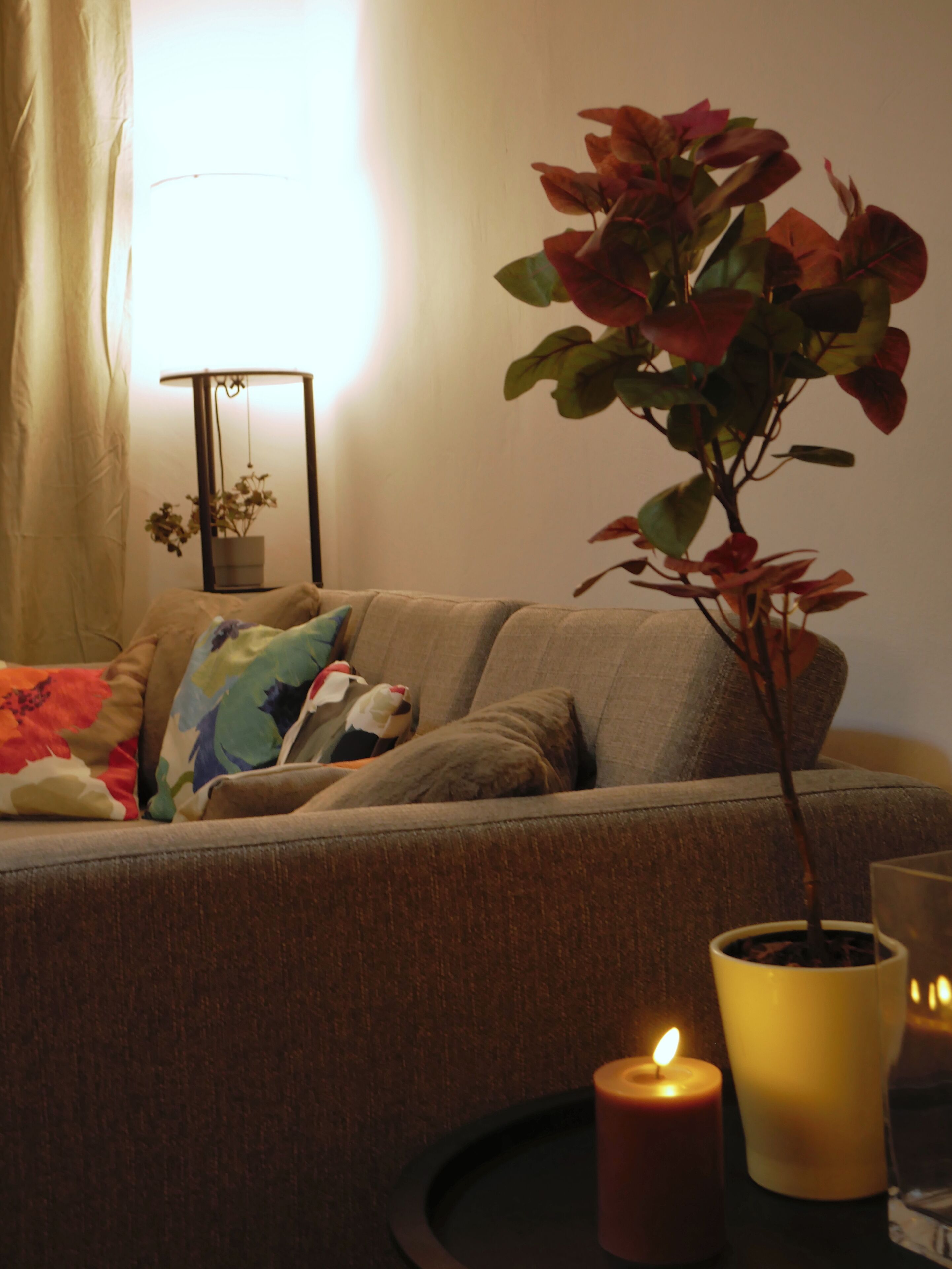 Moderne & Ruhige Ferienwohnung Am Rennsteig Zum Wohlfühlen - Masserberg