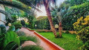 Um caminho no jardim, com palmeiras e piso de azulejos.