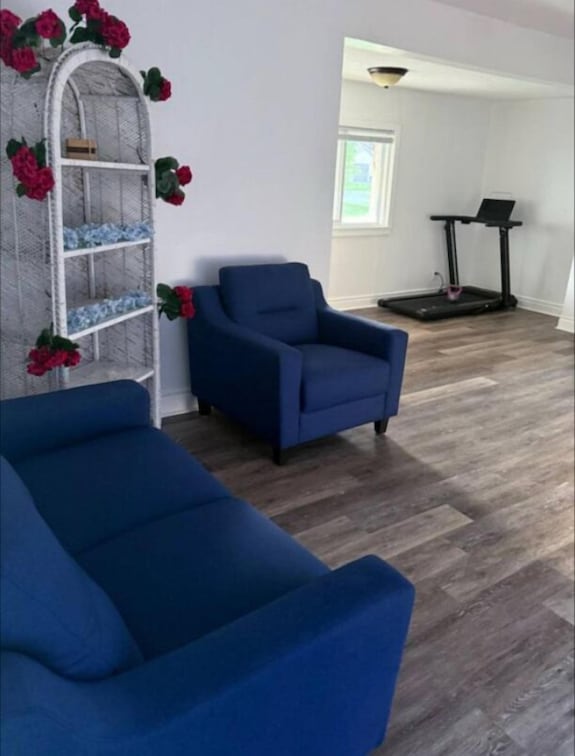 Cozy Fort Erie Crystal Beach House - Fort Erie