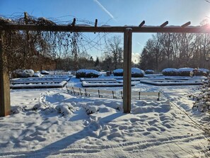 Área da propriedade