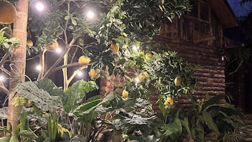 Quarto Duplo de Luxo, vista para o pátio | Vista para o pátio