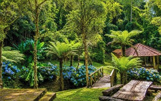 Linda Casa em Estilo Germânico em Rancho Queimado - SC | Terrenos do alojamento