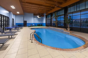 Piscina interior com borda azulejada, rodeada por espreguiçadeiras e um vaso de plantas.