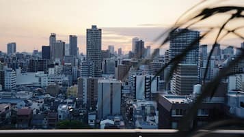 Quarto Clássico, não fumadores, Vista para a cidade | Terrenos do alojamento