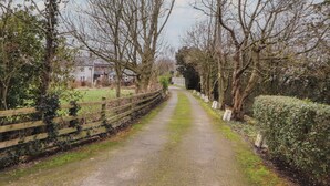 Uma estrada rural estreita ladeada por árvores sem folhas e uma cerca de madeira.