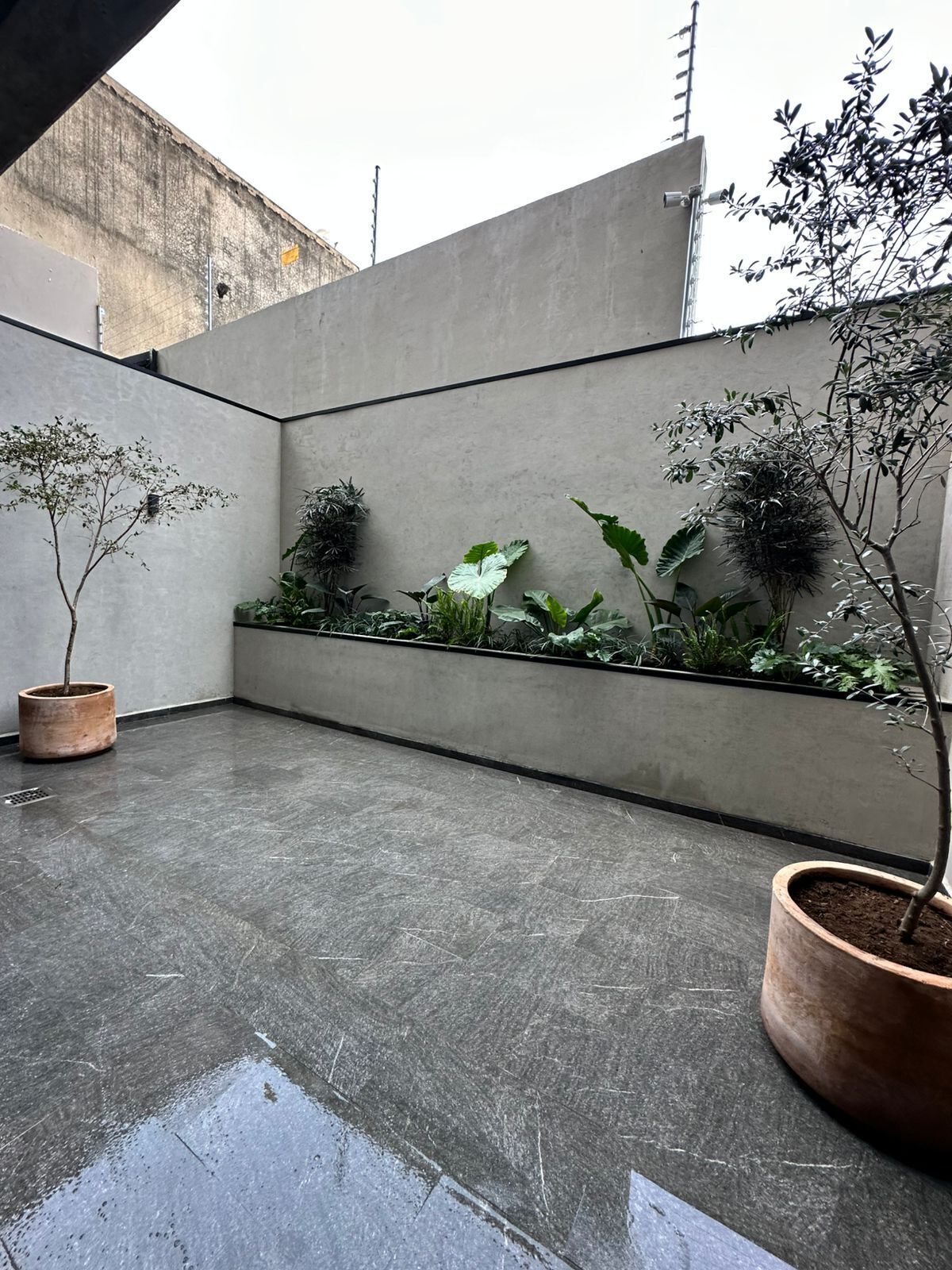 Apartamento Deluxe, Vista para a cidade | Terrenos do alojamento