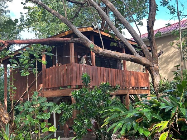 Treetop Beachfront Cabana - Placencia