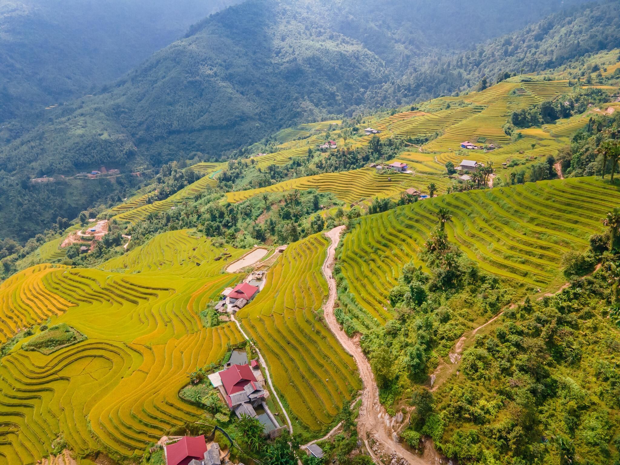 Campos de arroz em socalcos com alguns edifícios e uma estrada sinuosa.