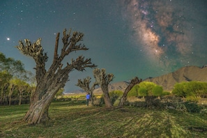 Cena noturna com uma pessoa parada perto de uma árvore, céu estrelado e montanhas ao fundo.