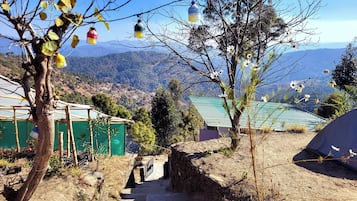 Terrenos do alojamento