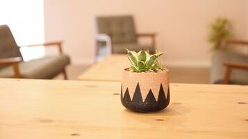 Uma pequena planta em vaso sobre uma mesa de madeira num quarto com duas cadeiras e um sofá.