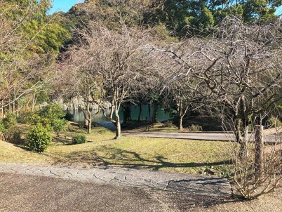 Granny's House