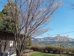 Terrenos do alojamento