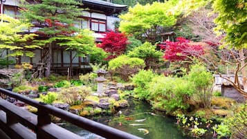 Terrenos do alojamento