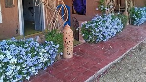 Um edifício com um caminho de telhas vermelhas, um vaso decorativo grande e uma porta que dá para o interior.